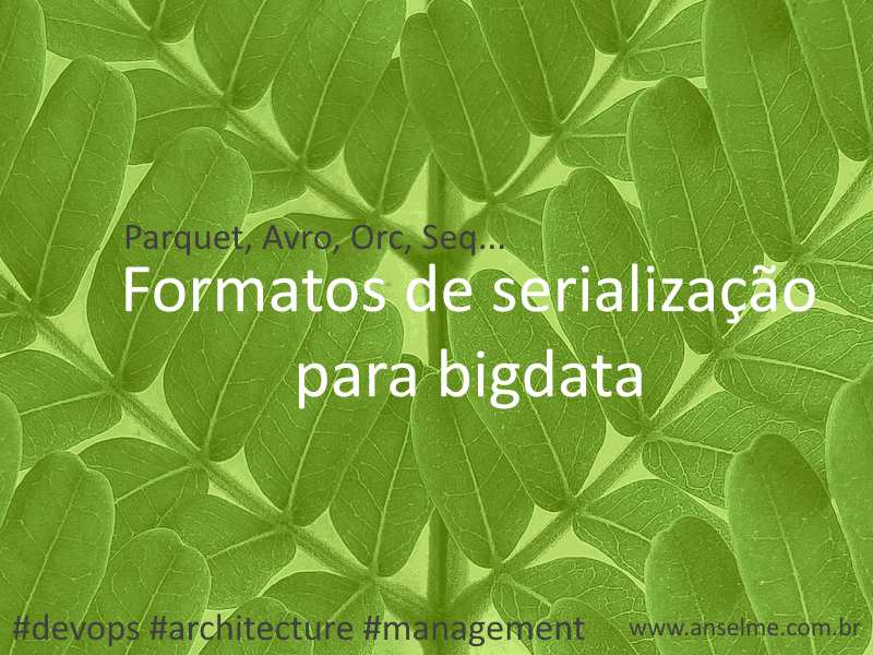 Formatos de serialização para bigdata - Anselme.com.br