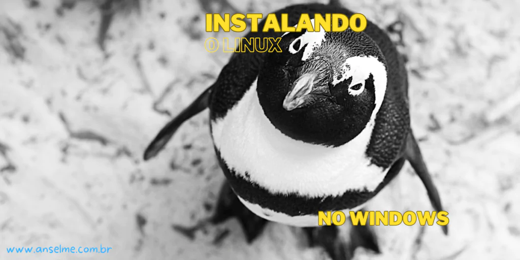 Instalando o Linux no Windows - Anselme.com.br