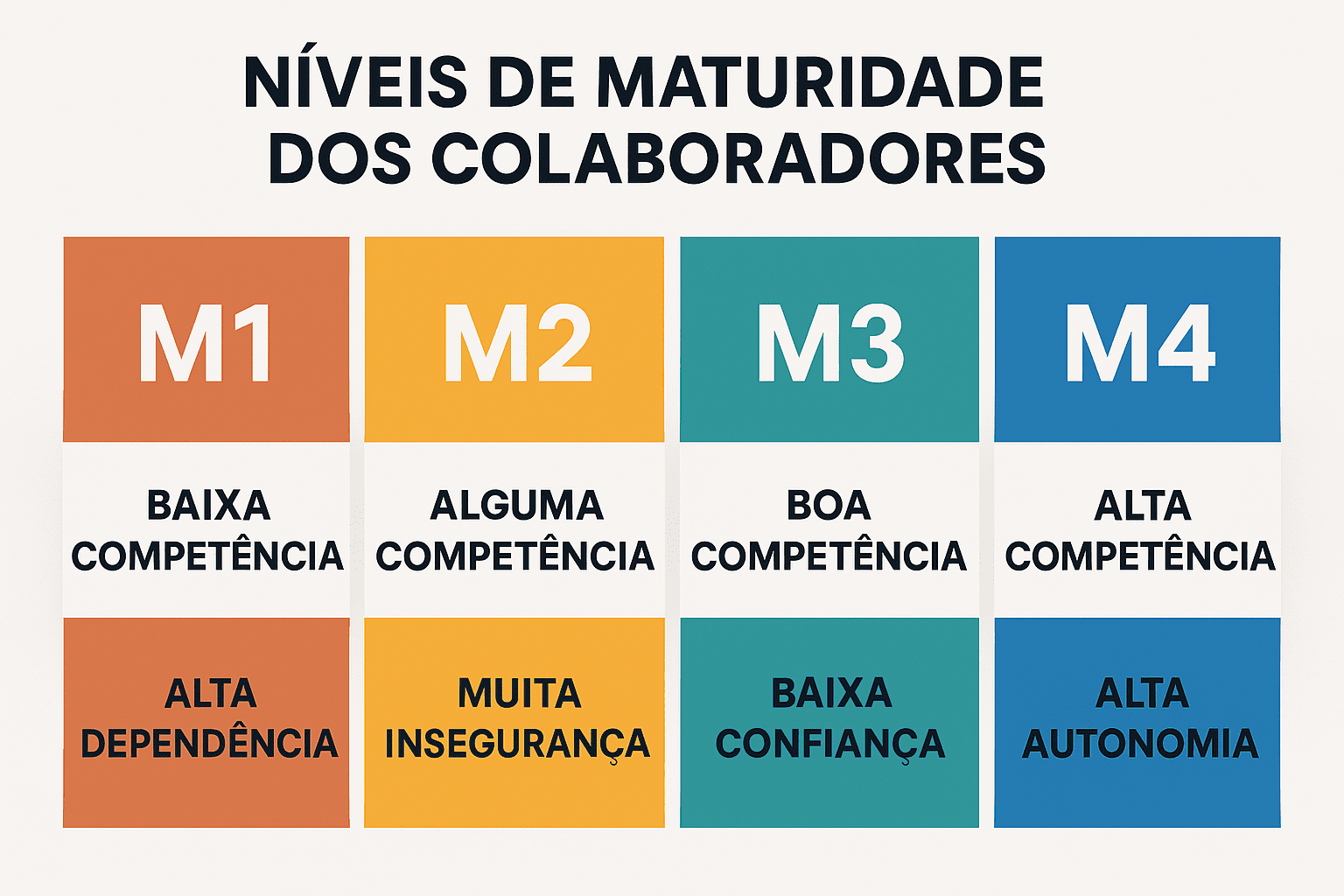 Níveis de Maturidade dos Colaboradores - Anselme.com.br